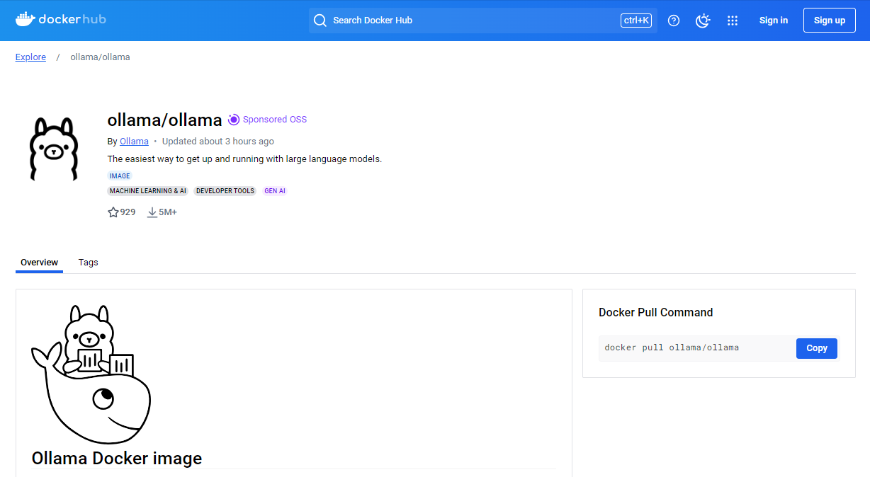 Ollama в Docker - DockerHosting.ru